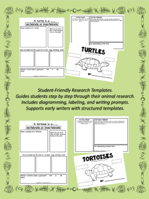Writing About Animals - Turtles and Tortoises