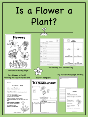 Writing About Plants - Help Writers Grow