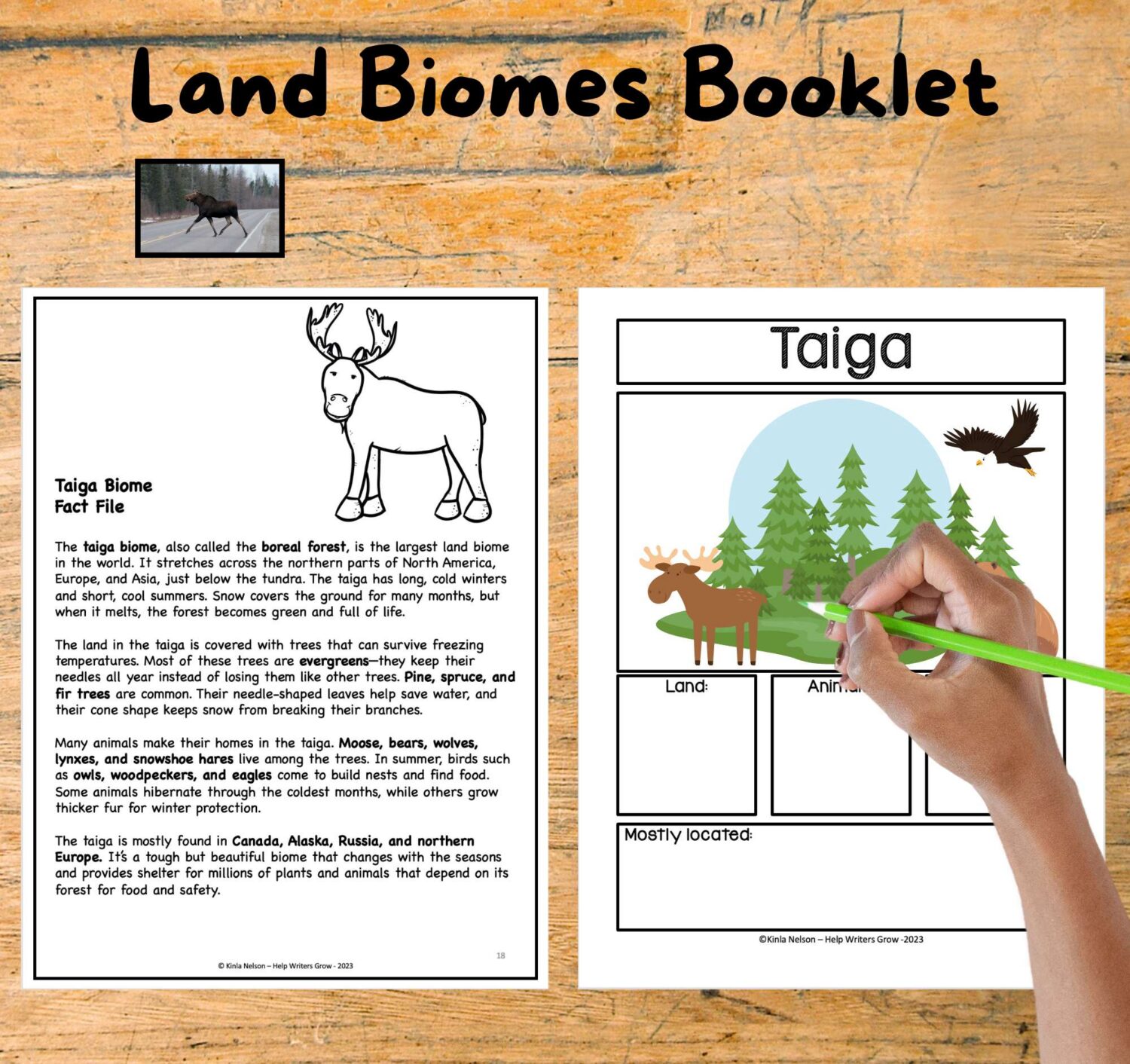 Biomes - Writing about Biomes and Ecosystems - Help Writers Grow