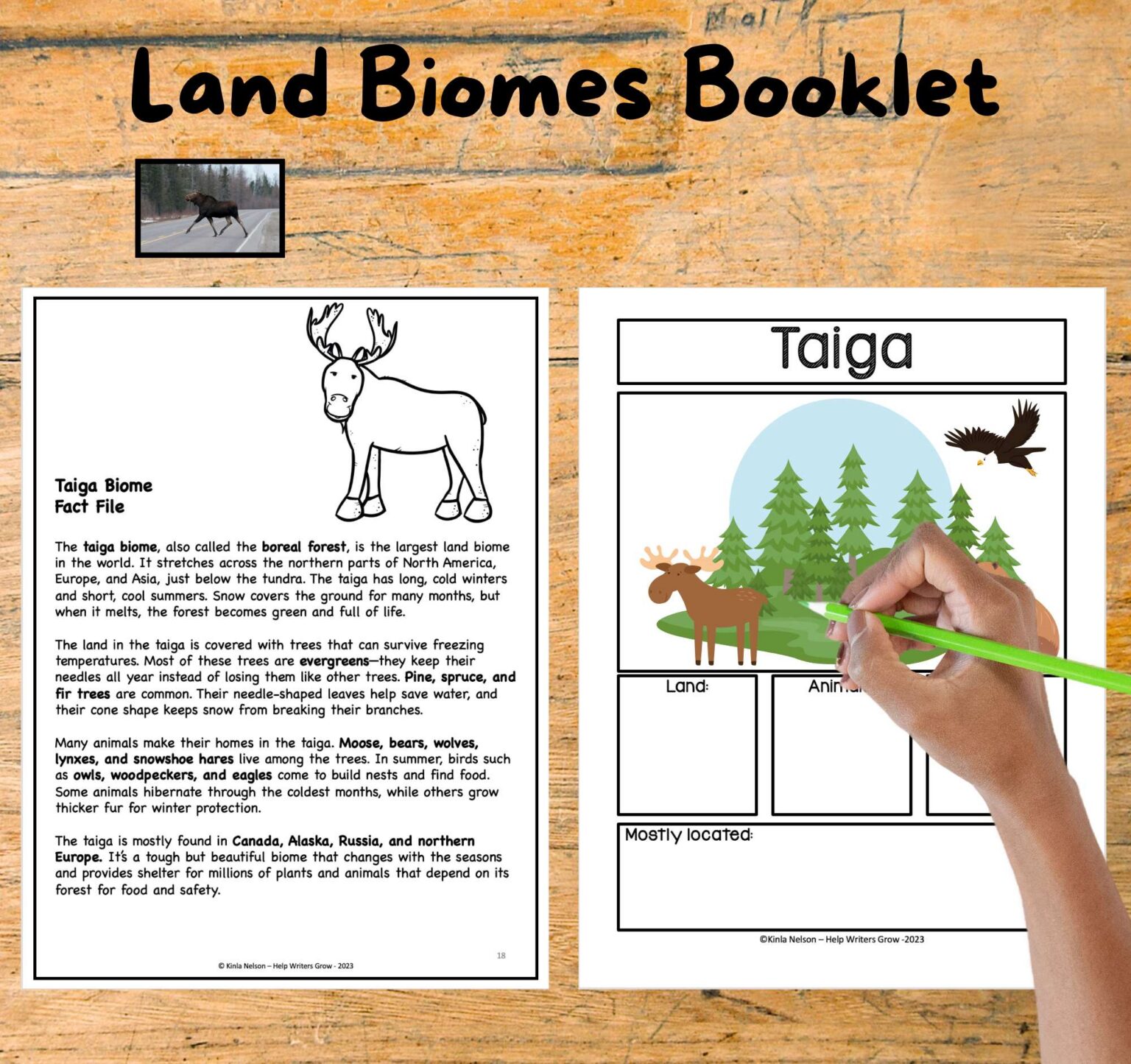 Biomes - Writing about Biomes and Ecosystems - Help Writers Grow