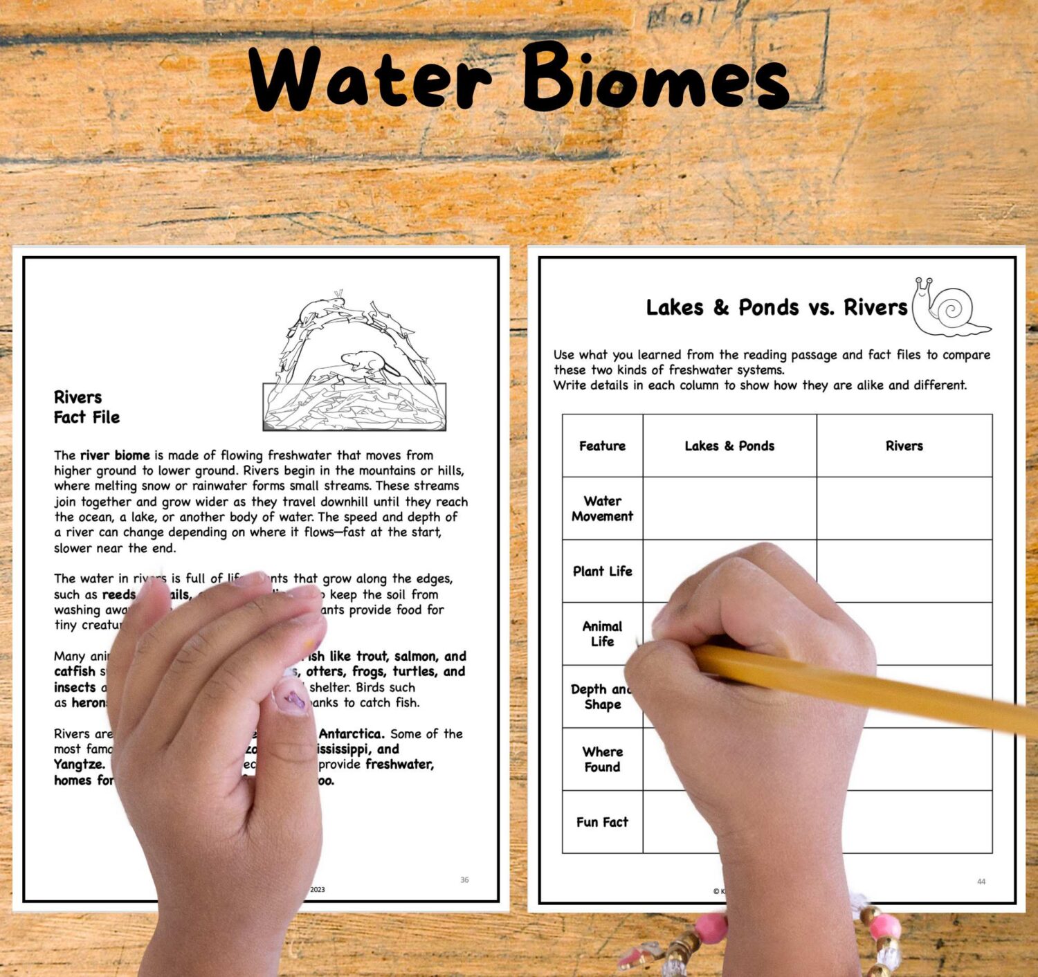 Biomes - Writing about Biomes and Ecosystems - Help Writers Grow