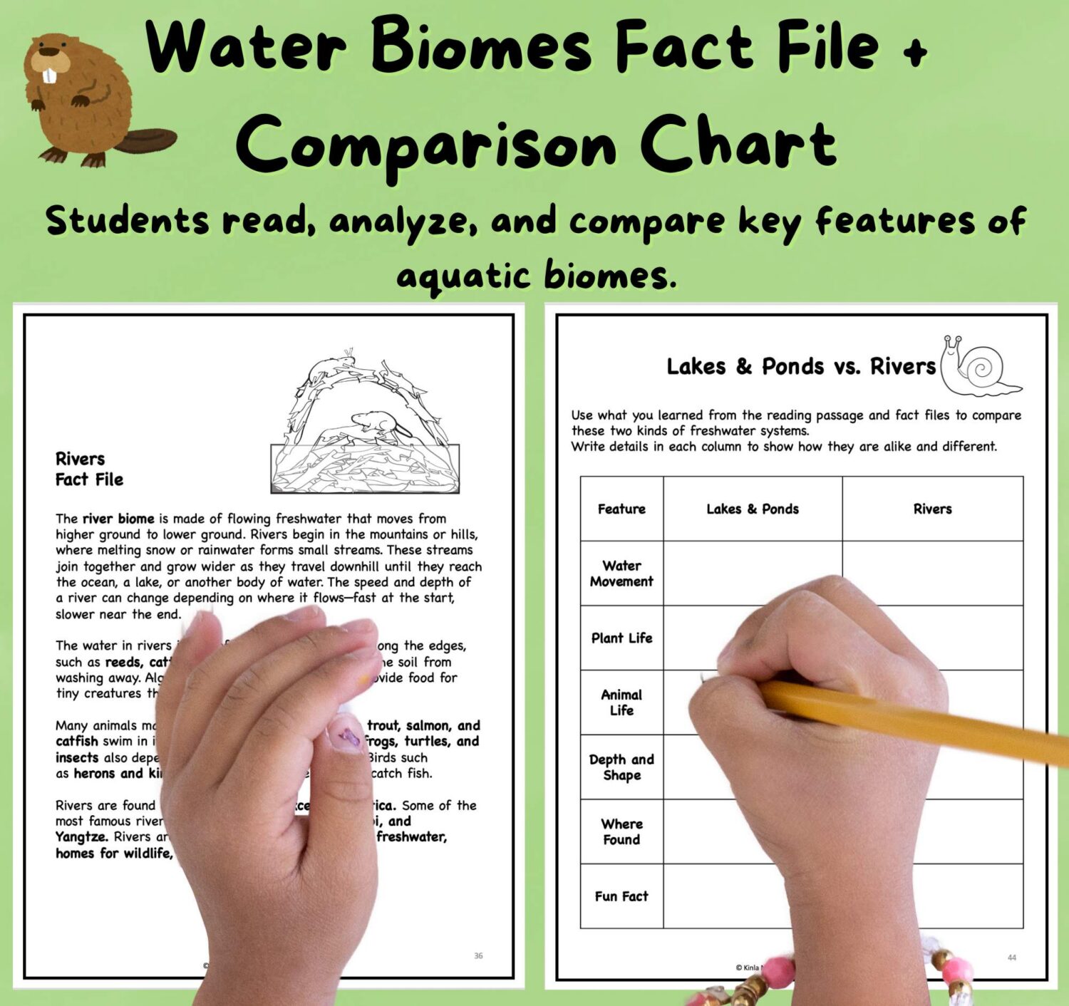 Biomes and Ecosystems Bundle Pack - Help Writers Grow