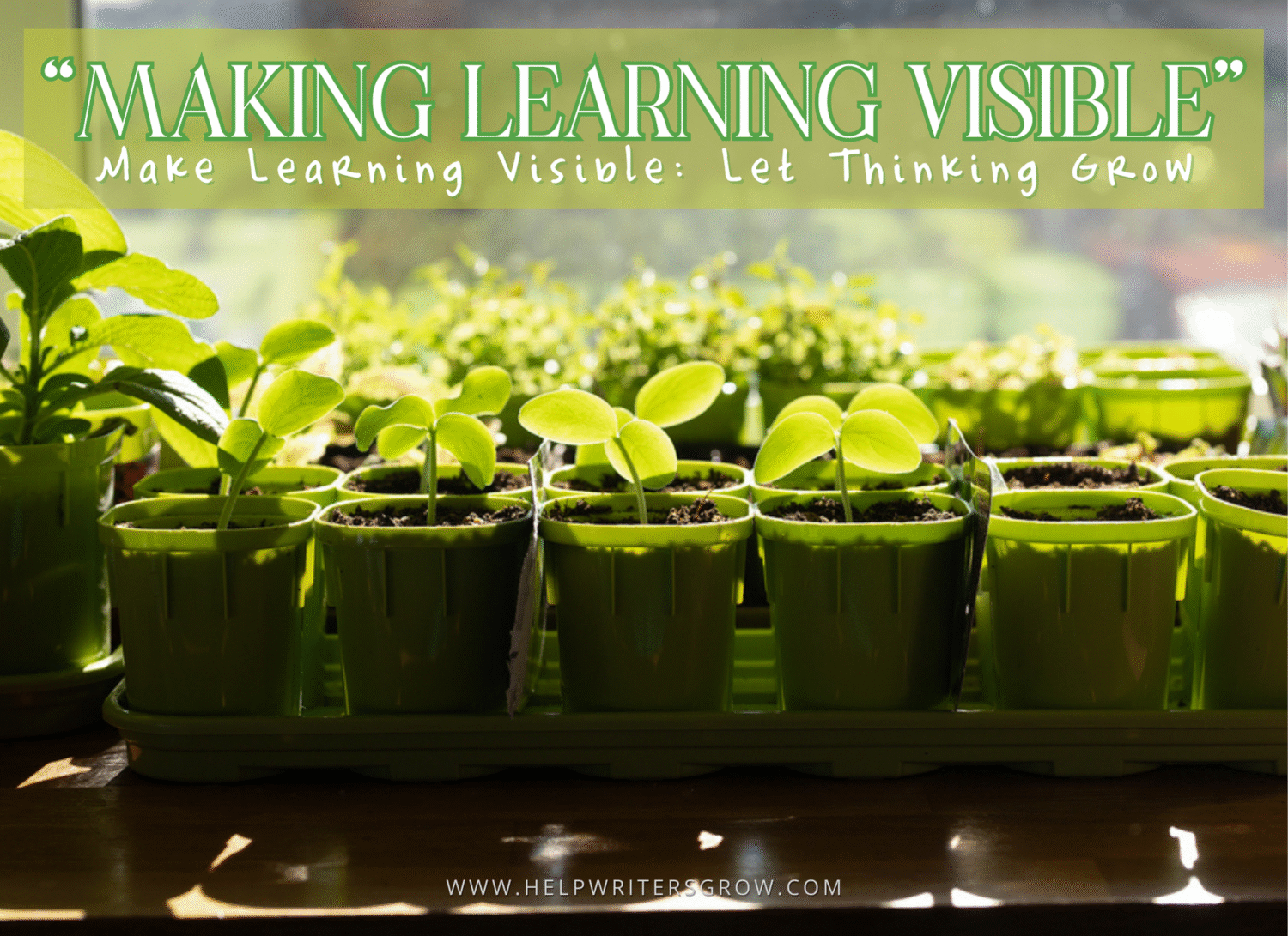 Making Learning Visible: Let Thinking Grow - Help Writers Grow